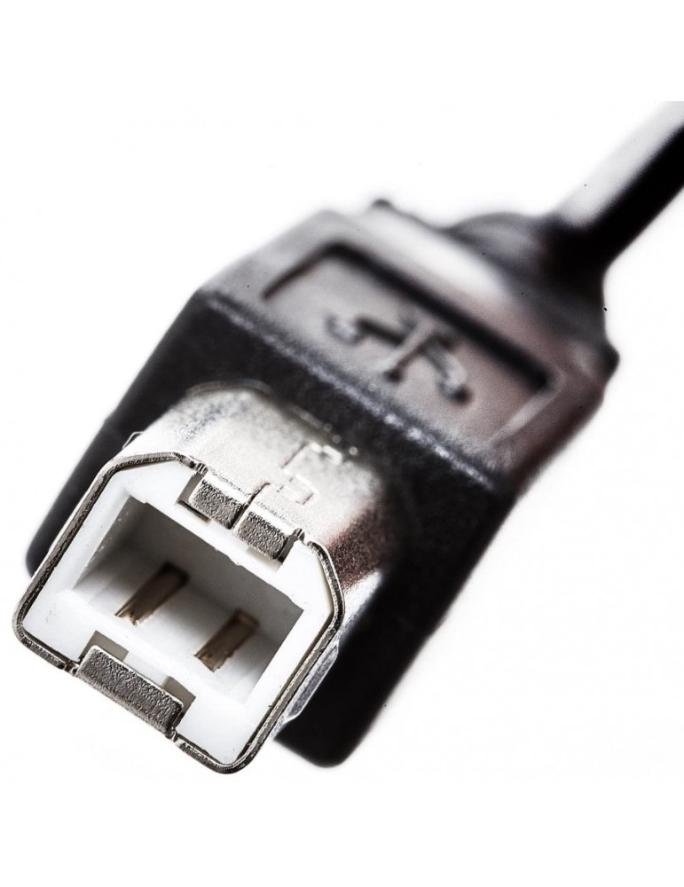 USB A - USB B 1,8 Mts